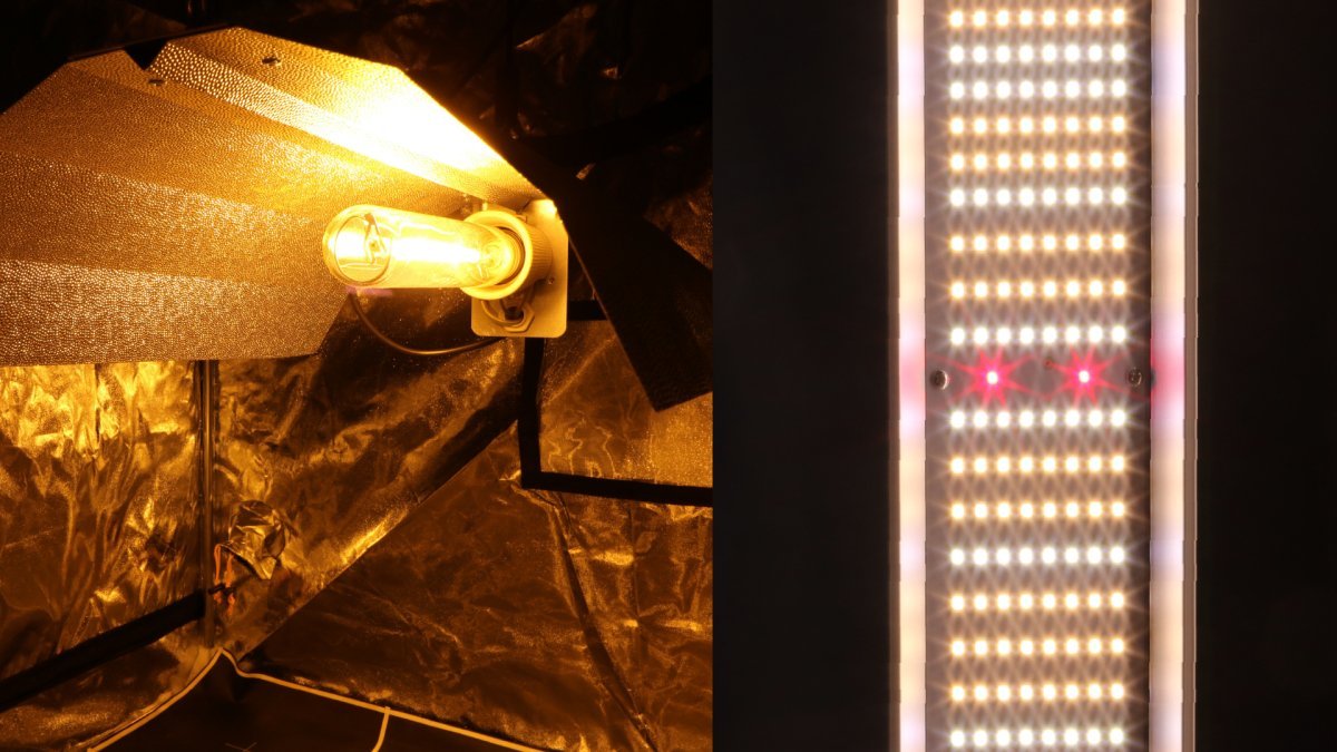 Why upgrade from HPS to LED grow lights? – MIGROLIGHT