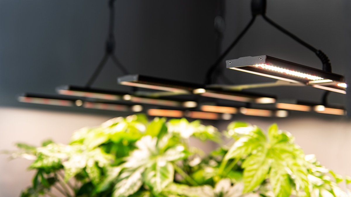 How to setup your grow light – MIGROLIGHT