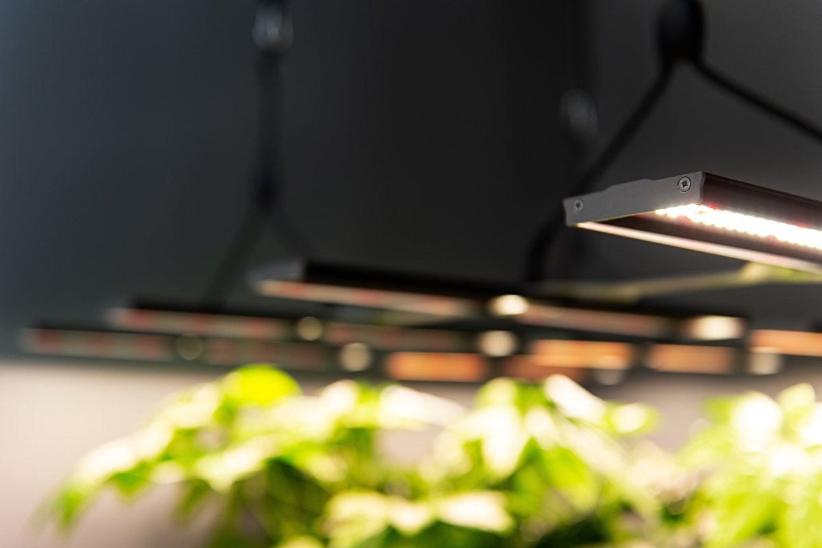 Grow Lighting Basics – MIGROLIGHT