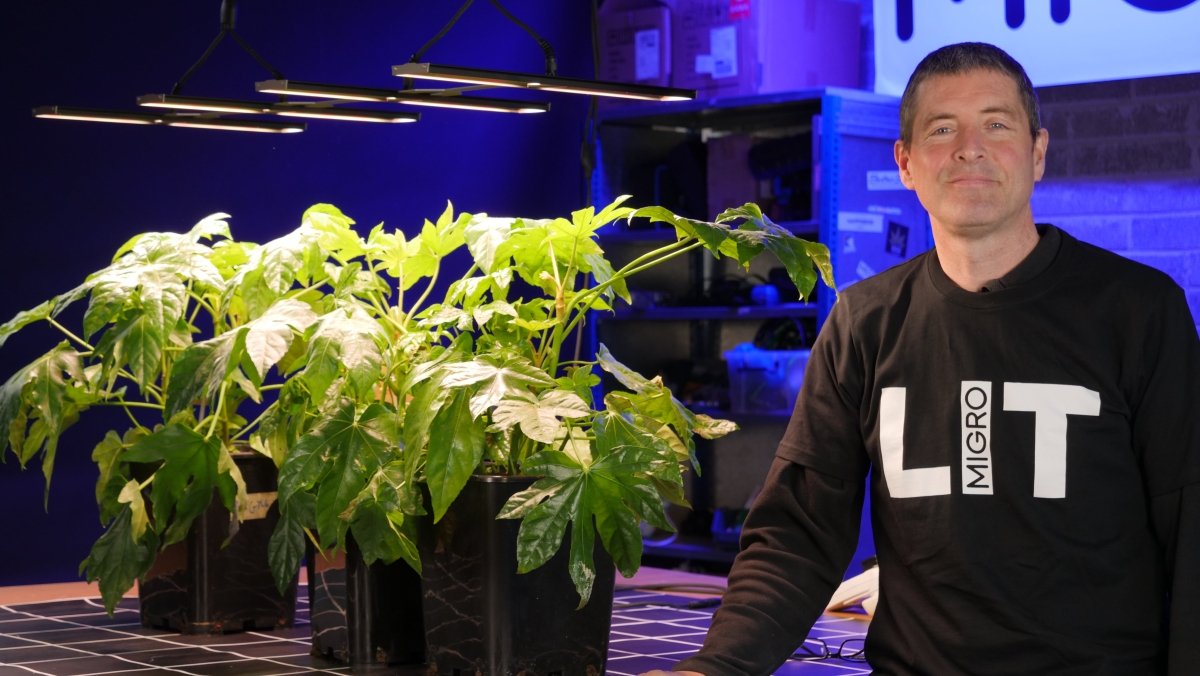 What is PPFD for grow lighting – MIGROLIGHT