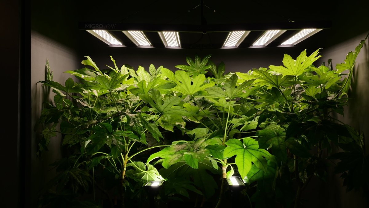 How to add intra canopy grow lightin – MIGROLIGHT