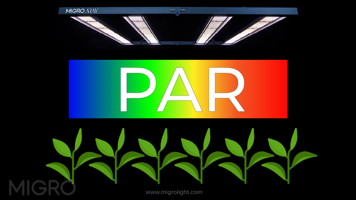 What is PAR for plant lighting? Photosynthetically Active Radiation ...