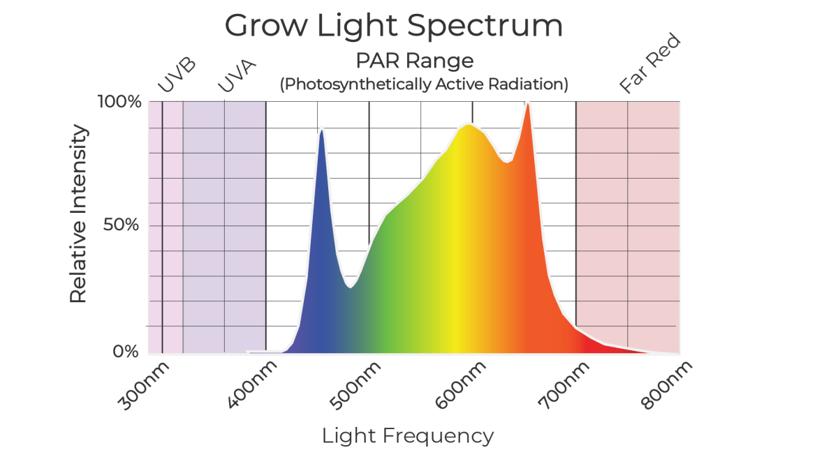 Full spectrum LED grow lights – MIGROLIGHT