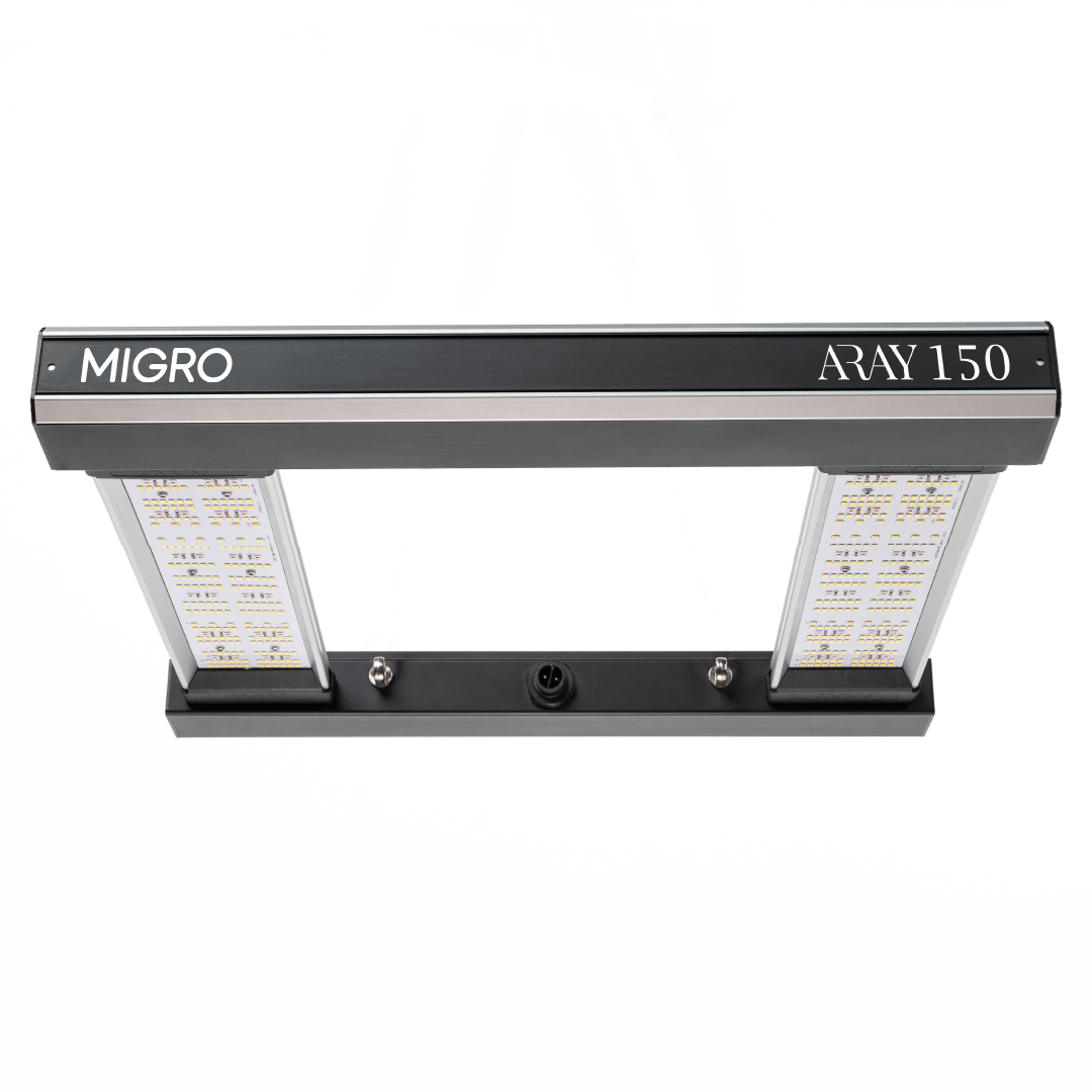 Autoflower grow lights – MIGROLIGHT
