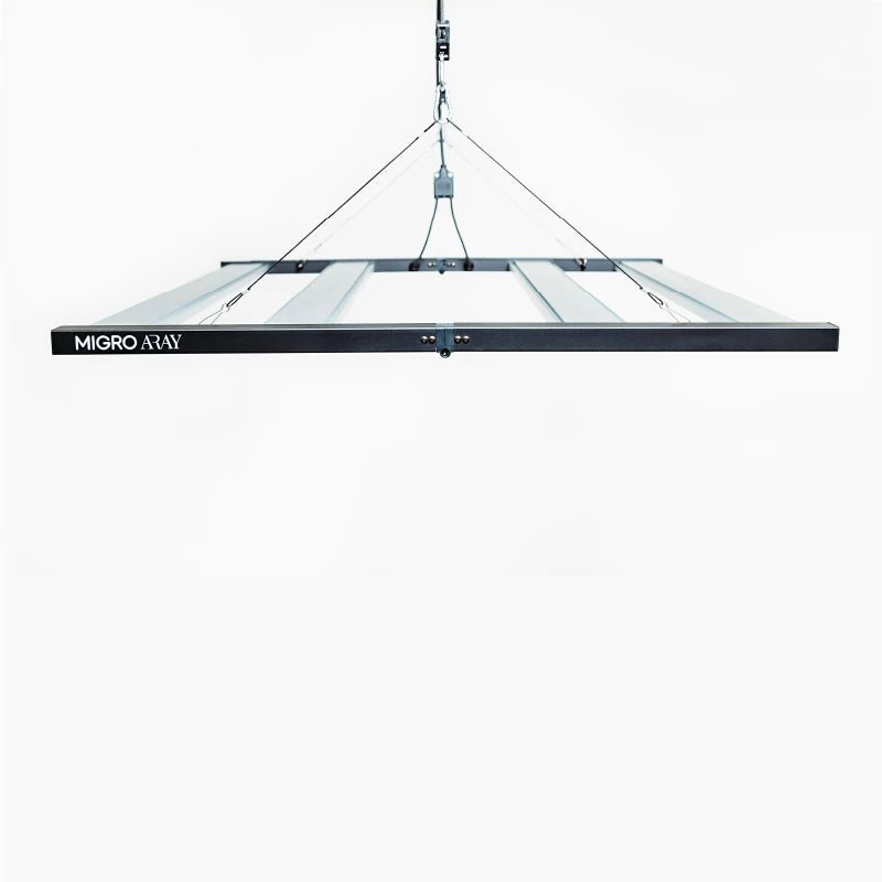 Indoor Grow Lights - Maximise your yields with indoor LED grow lights ...