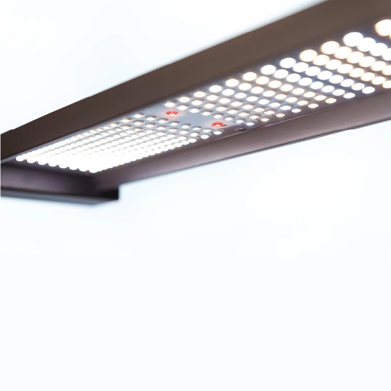 Hydroponic Grow Lights | The Must Have LED Lights For Hydroponics ...