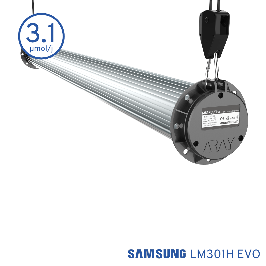 MIGRO ARAY Intra 160 – MIGROLIGHT